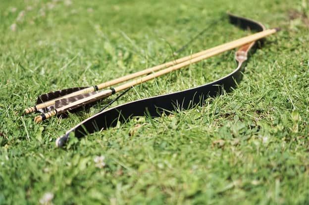 Best Survival Bow and Arrows - Top 7 [Buyer's Guide]